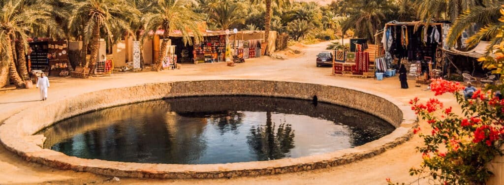 Siaw Egypt | Siaw Oasis Egypt | Egypt Siaw | Siaw in Egypt