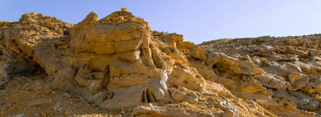 White Desert National Park: A Landscape Like No Other