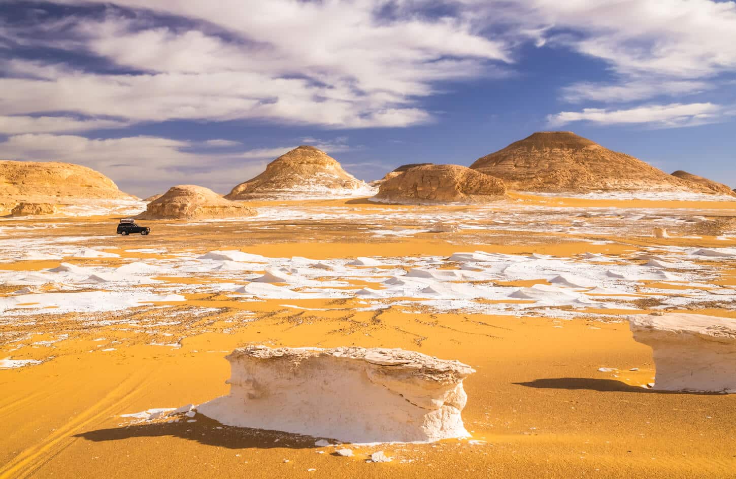Overnight Tour to Bahariya Oasis from Cairo